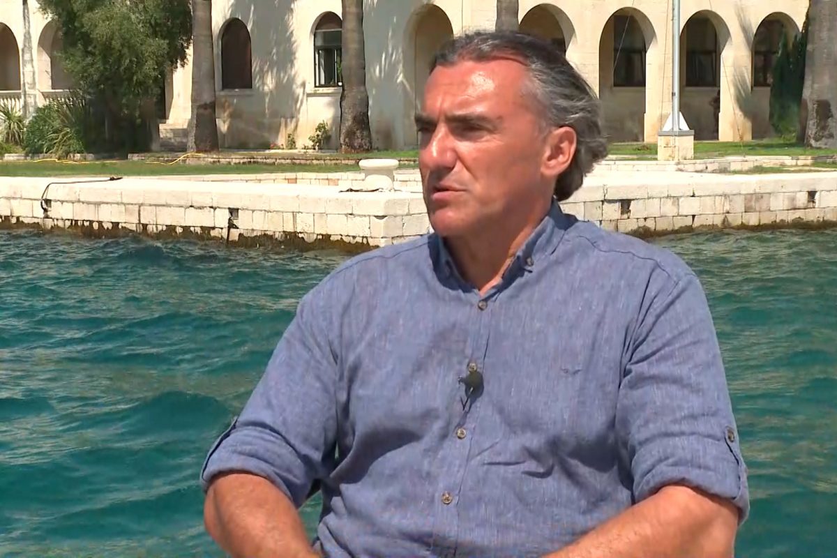 Znanstvenik: U Jadranu 34 vrste morskih pasa, a tri su potencijalno ...