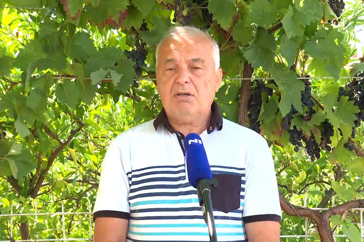 Rehak o predstavnicima Srba u Kninu: Oni su to zbog nekih političkih ...