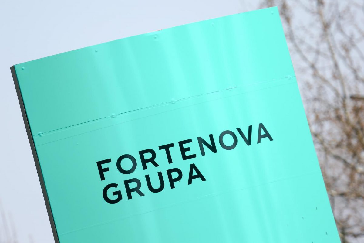 Fortenova starts due diligence regarding possible sale of company stake ...