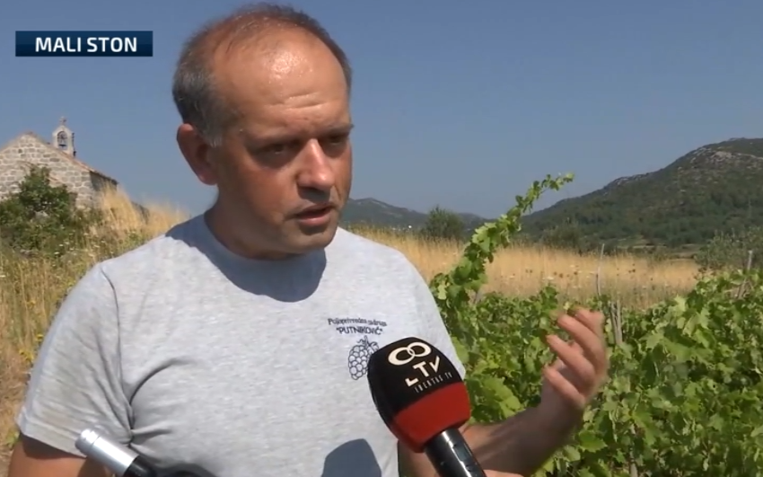 Enolog: Ovo jedan od najvažnijih datuma hrvatske povijesti - N1