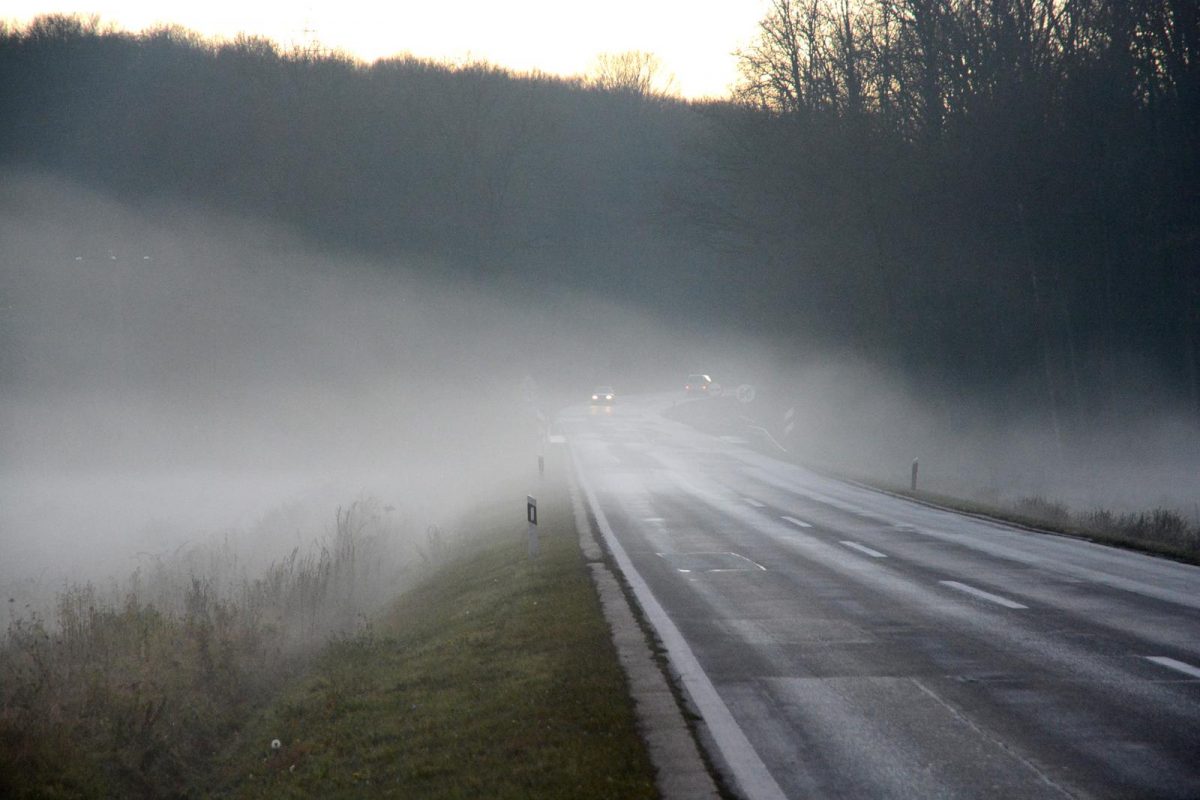 Gusta magla u unutrašnjosti razići će se do podne, idući tjedan ...