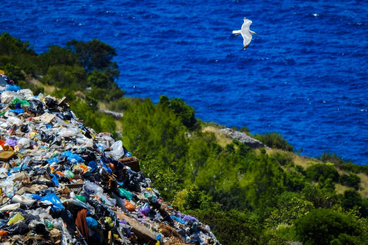 Recikliranje plastike je laž? Stručnjaci otkrivaju pet razloga zašto je ...