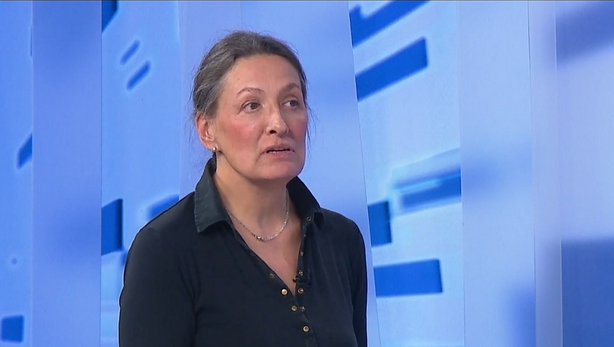 Raukar-Gamulin o Zakonu o kazalištima: Struka se nada dogovoru i ...