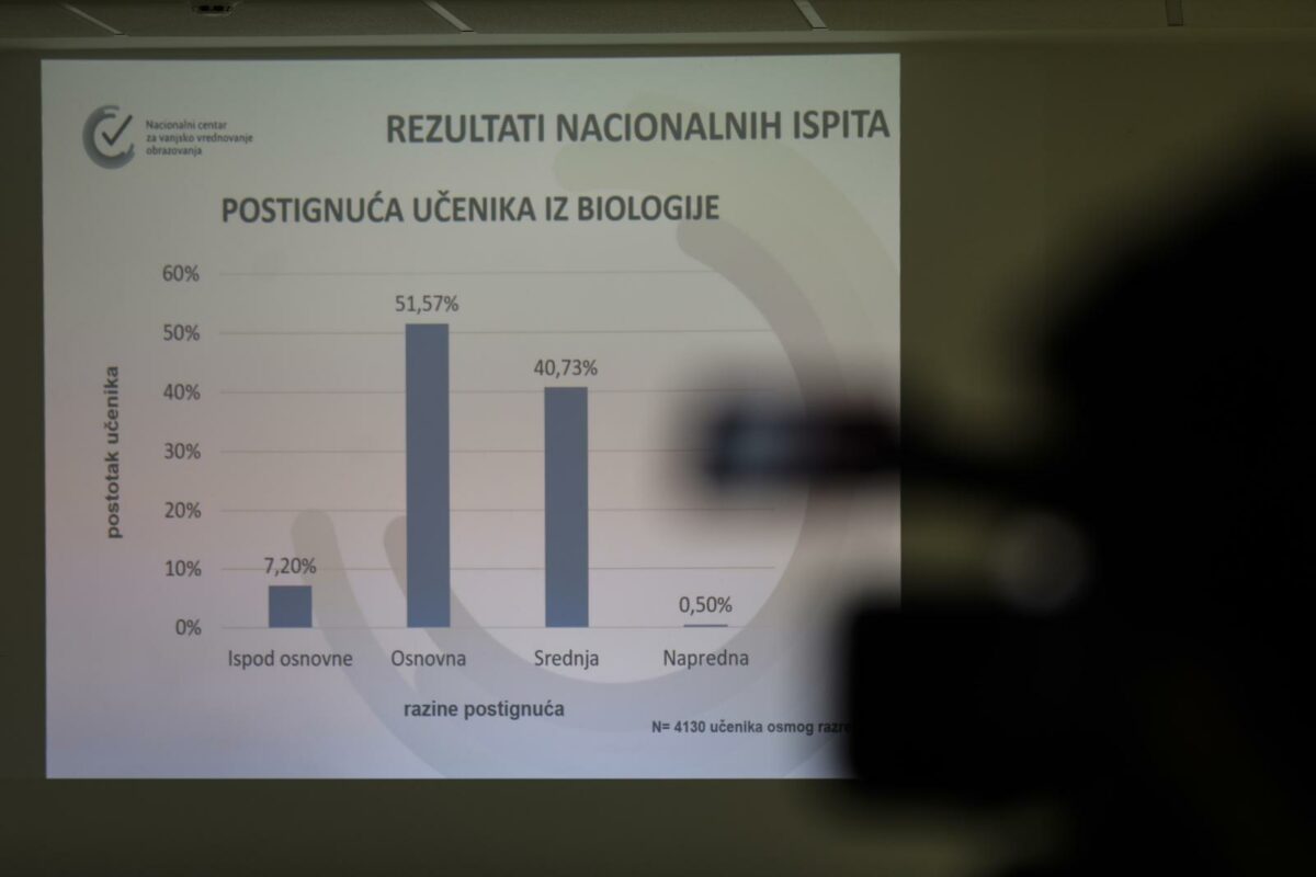 Nacionalni ispiti u osnovnim školama: "Dobili smo realnu sliku znanja" - N1
