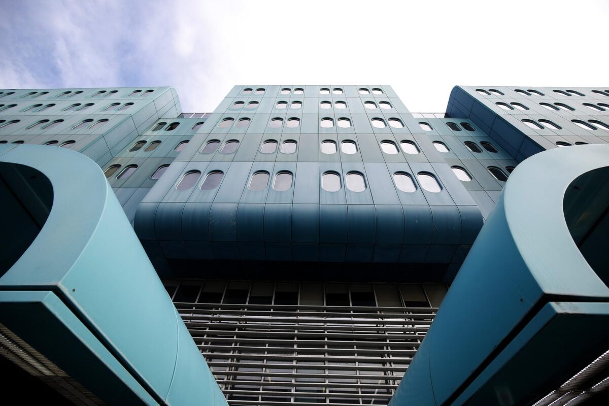 Devet transplantacija u samo dva mjeseca. Rudež: Izazov na sve moguće ...