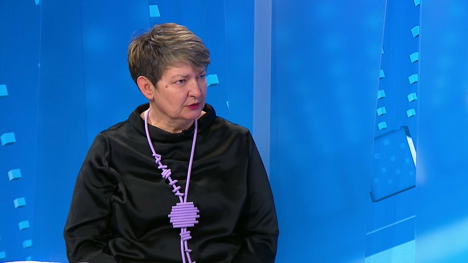 Nada Lovrić o uredbama i koeficijentima: Zašto bi udarali na blindirana ...