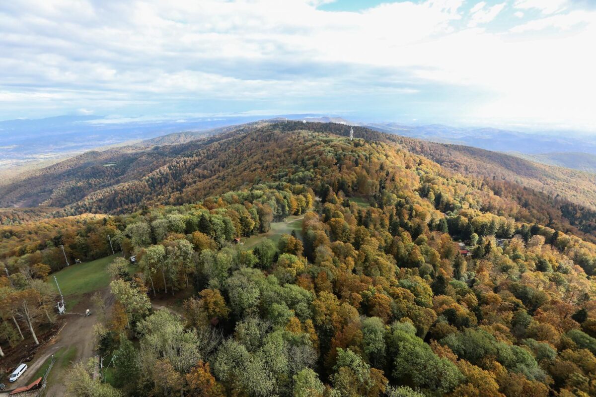 Hrvatske šume: Hrvatska ima 95 posto prirodnih šuma - N1