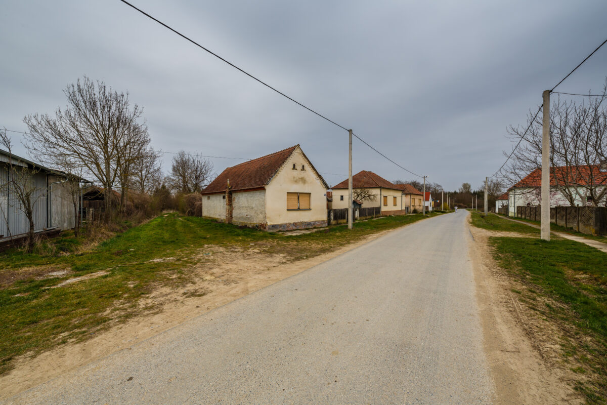 Biljana Gaća: Da se premijer duže vozio kroz Slavoniju, Baranju i ...