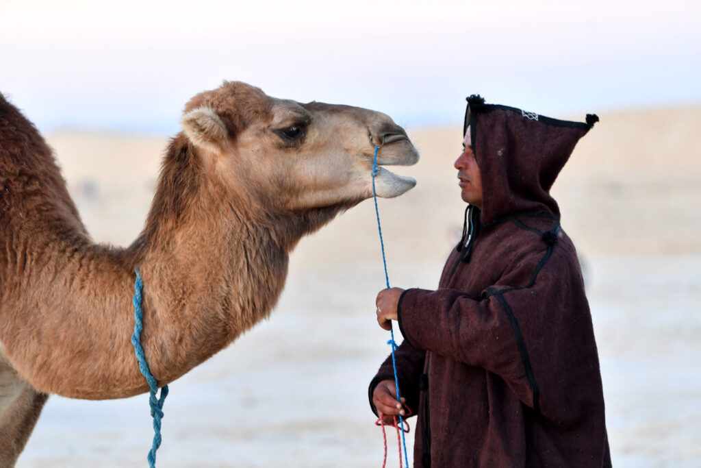 Pustinja Sahara poplavljena prvi put nakon nekoliko desetljeća